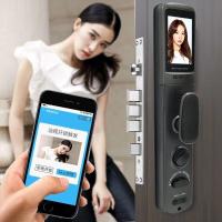 China Cat'S Eye Security Surveillance Smart Fingerprint Door Lock Remote Capture OEM for sale