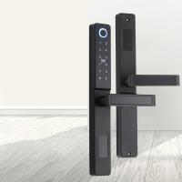 China Aluminum Wifi Remote Biometric Digital Lock Fingerprint Password For House for sale