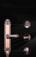 China Household Waterproof Zinc Alloy Smart Fingerprint Door Lock For Loc Villa for sale