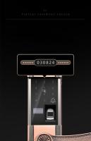 China Household Waterproof Zinc Alloy Smart Fingerprint Door Lock For Loc Villa for sale