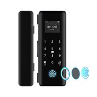 China Interior Smartkey Glass Door Wireless Fingerprint Lock Remote Control oem for sale