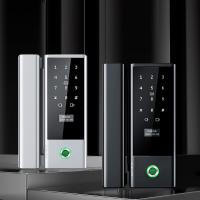 China Zinc Wifi Keyless Door Lock Thumb Print Padlock Password Swipe Card for sale