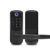 China Fingerprint Bedroom Wifi Keyless Door Lock Mechanical Combination Door Lock ODM for sale