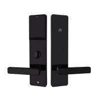 China Zinc Alloy Wifi Keyless Door Lock Deadbolt For Homestay Apartment for sale