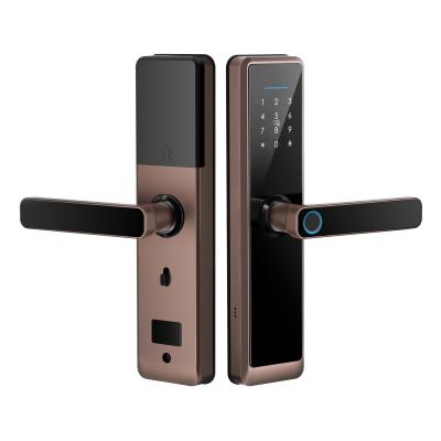 China Silence Fingerprint Door Lock Keyless Bluetooth Wifi Biometric Digital For Business for sale
