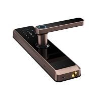 China Silence Fingerprint Door Lock Keyless Bluetooth Wifi Biometric Digital For Business for sale