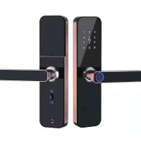 China Virtual Password Fingerprint Door Lock Keyless Bluetooth Wifi Biometric Digital For Business for sale
