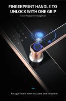 China Virtual Password Fingerprint Door Lock Keyless Bluetooth Wifi Biometric Digital For Business for sale