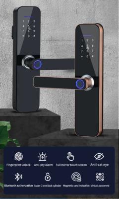 China Virtual Password Fingerprint Door Lock Keyless Bluetooth Wifi Biometric Digital For Business for sale