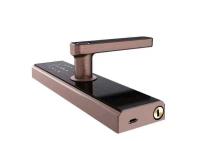 China Space Fingerprint Door Lock Keyless Bluetooth Wifi Biometric Digital For Business for sale