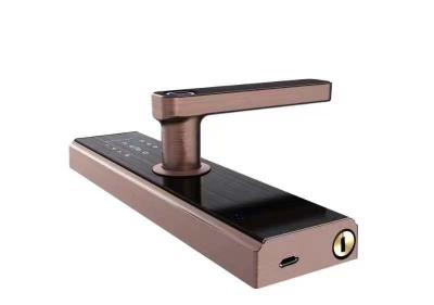 China Space Fingerprint Door Lock Keyless Bluetooth Wifi Biometric Digital For Business for sale