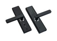China Space Fingerprint Door Lock Keyless Bluetooth Wifi Biometric Digital For Business for sale
