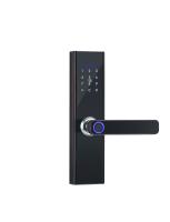 China Space Fingerprint Door Lock Keyless Bluetooth Wifi Biometric Digital For Business for sale