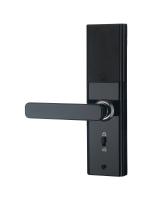 China Fingerprint Door Lock Keyless Bluetooth Wifi Biometric Digital For Apartment for sale