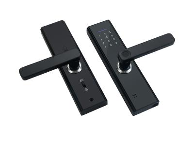 China Fingerprint Door Lock Keyless Bluetooth Wifi Biometric Digital For Apartment for sale