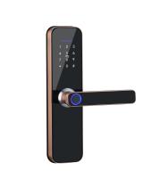 China Fingerprint Door Lock Keyless Bluetooth Wifi Biometric Digital For Business for sale