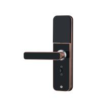 China Fingerprint Door Lock Keyless Bluetooth Wifi Biometric Digital For Business for sale