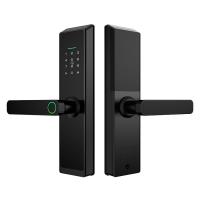 China Apartment Code Lock B&B Home Smart Fingerprint Lock Room Wooden Door APP Remote Unlock Office Graffiti Lock for sale