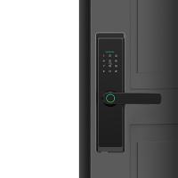 China Apartment Code Lock B&B Home Smart Fingerprint Lock Room Wooden Door APP Remote Unlock Office Graffiti Lock for sale