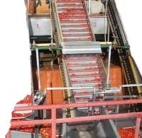 China Customized Stainless Steel 304 316 Apple Juice Production Line 10ton Industrial Beverage Processing for sale