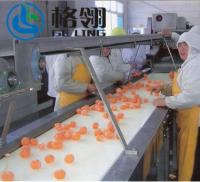 China Fruit Juice / Apple Juice Processing Line 100 - 10000L/H Capacity for sale