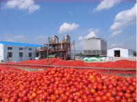 China 1-100t/H Pomegranate Juice Processing Line Carrot/Apple/Strawberry/Tomato/Pear Juice Jam Beverage Production Line for sale