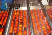 China Customized 316l Automatic Tomato Paste Production Line 1-100ton Juice Production Line for sale