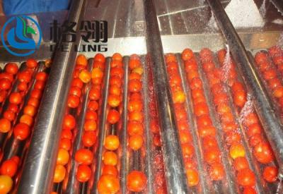 China Customized 316l Automatic Tomato Paste Production Line 1-100ton Juice Production Line for sale