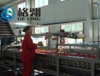 China Customized 316l Automatic Tomato Paste Production Line 1-100ton Juice Production Line for sale