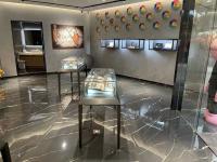 China Versatile Luxury Jewelry Counter Showcase Countertop Display Case Anti Rust for sale