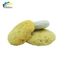 China Professional 6 Inch & 7 Inch Wool Polishing Pads for Automotive Surface Repair - 100 PCS/Carton for sale