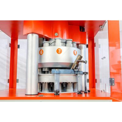 China ZP100-9C Calcium Hypochlorite Tablet Press Machine - 1000kN Pressure, 5400 pcs/h Capacity for 300g-350g Tablets for sale