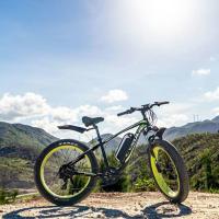 China Specialized Women'S Fat Tire Electric Bike 1000w 17Ah CYSUM M980 for sale