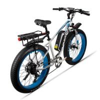 China Cargo City Commuter Electric Bike 1000w 48v 15Ah Rear Rack Hardtail CYSUM M980 for sale