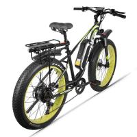China Electric Mountain Bike Fat Tyre Ebike 1000w Big Tire Electric Bicycle Hardtail Frame for sale