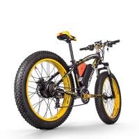 China US EU STOCK Top-012 Rich Bit Ebike Fat Tire 1000w 48v-17ah Motor Brushless for sale