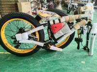 China US EU STOCK 48v Fat Tire Electric Bike 500w 750w 1000 Watt 17Ah 50 Kmh for sale