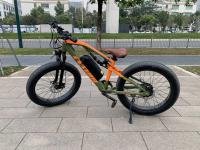 China Mid Drive High Power Ebikes 1000w 48v 17Ah Hydraulic Disc Brake CYSUM M999 for sale