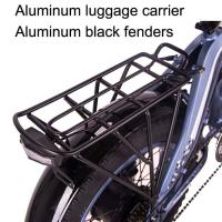 China Electric Folding City Bike Commuter 20