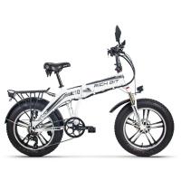 China Rich Bit Top 016 20 Inch Fat Tire Ebike 20in Electric Bike 4.0 Chaoyang Tire 48v 500w 9.6Ah for sale