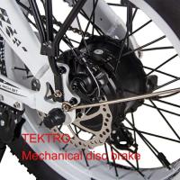China Electric Folding City Bike Commuter 20