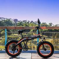 China Rich Bit Top 016  20 Inch Fat Tire Electric Bike 500w 48v 9.6Ah 20x4 Chaoyang Tire for sale