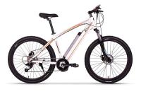 China Ladies Mid Drive Ebike Long Range Bicycle 27.5