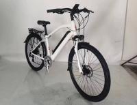 China 29 Inch E Mountain Bike Rear Hub Motor Black 36v 300w 15Ah Rich Bit Top 880 for sale
