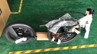 China 10Ah 36v Electric Scooter Bike For Adults Front 20 Inch Rear 16 Inch 350w RICHBIT H100 Plus for sale