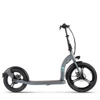 China Front 20inch Rear 16inch Adults Electric Scooter 250w 36v Lithitum Battery for sale