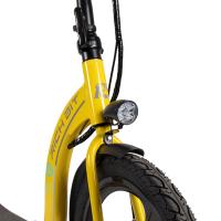 China Front 20inch Rear 16inch Adults Electric Scooter 250w 36v Lithitum Battery for sale