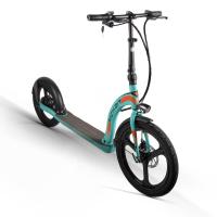 China Off Road Big Wheel Electric Scooter With Pedals Assisted RICH BIT H100 Front 20