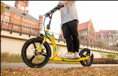 China Rich Bit H100 Big Wheel E Scooter 350w Electric Scooter Bicycle Front 16