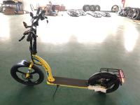 China Rich Bit H100 Big Wheel E Scooter 350w Electric Scooter Bicycle Front 16